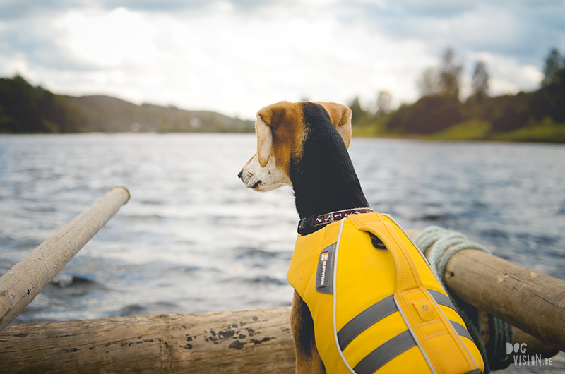 DOGvision | Two days on a timber raft with dogs, Värmland, Sweden, dog ...
